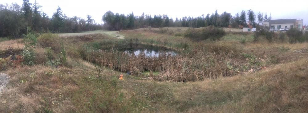 Regional Stormwater Facility | City of Port Townsend Washington